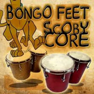 bongo feet Best Sound Alert Memes