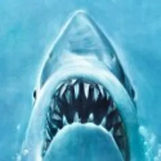 jaws Best Sound Alert Memes