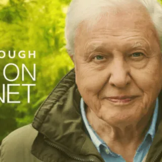 Text to Speech - TTS david attenborough nature tts voice over Sound Memes