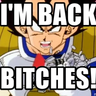 im back bitches Best Sound Alert Memes