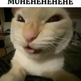 muheheheheh Best Sound Alert Memes
